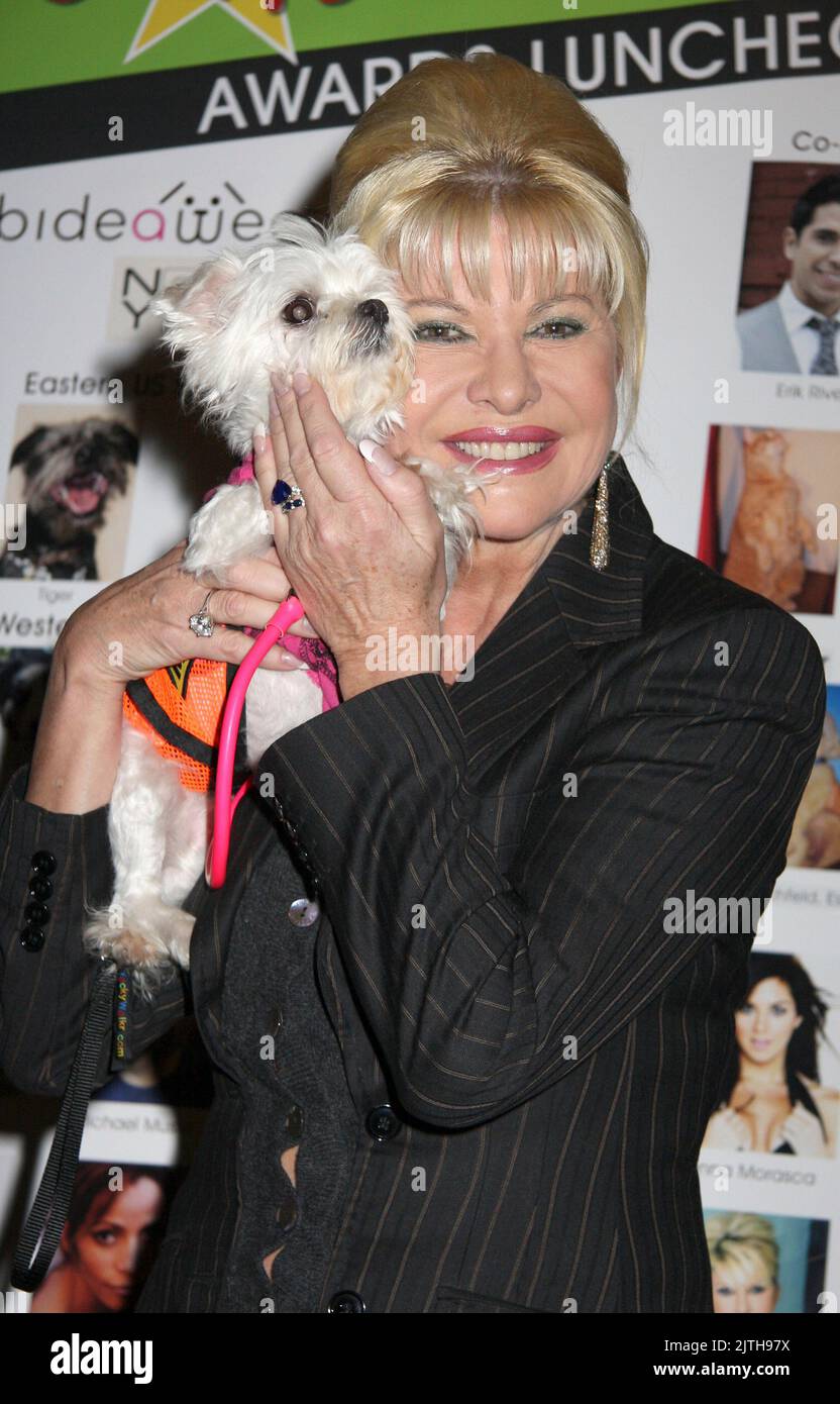 Ivana Trump, Donald Trumps erste Frau und Mutter seiner drei ältesten ...