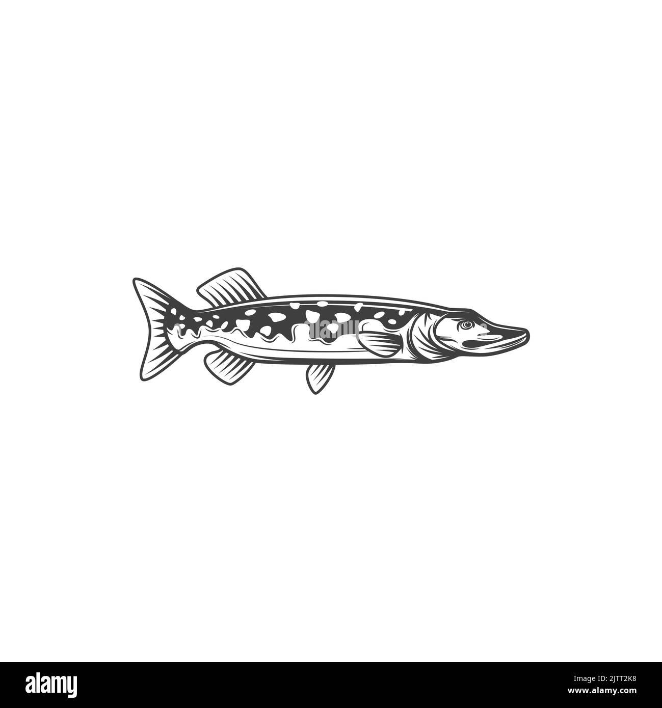 Frischer fisch vom fluss Stock-Vektorgrafiken kaufen - Alamy