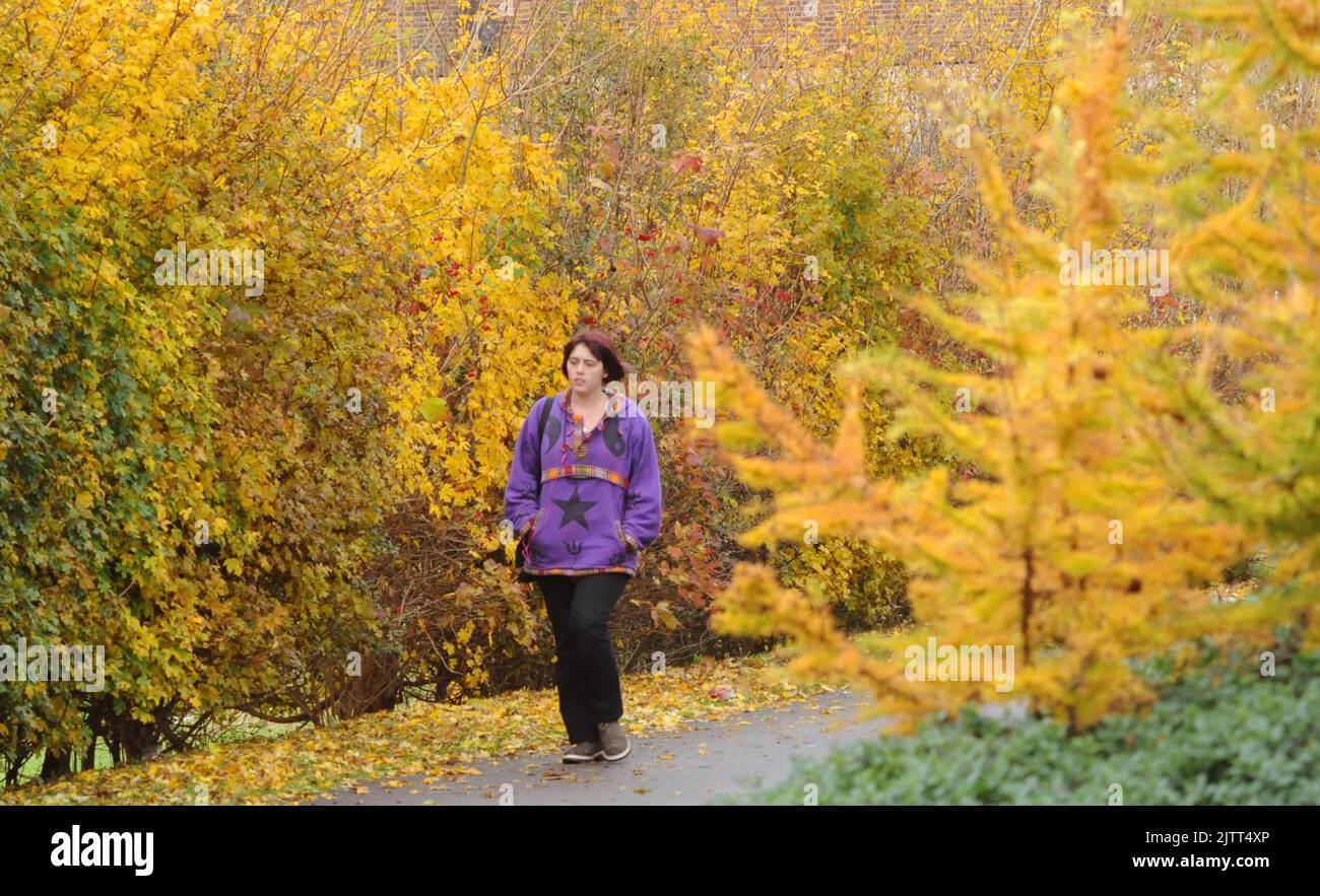 EIN IDYLLISCHER SPAZIERGANG DURCH DIE PRÄCHTIGEN FARBEN DES HERBSTES ...