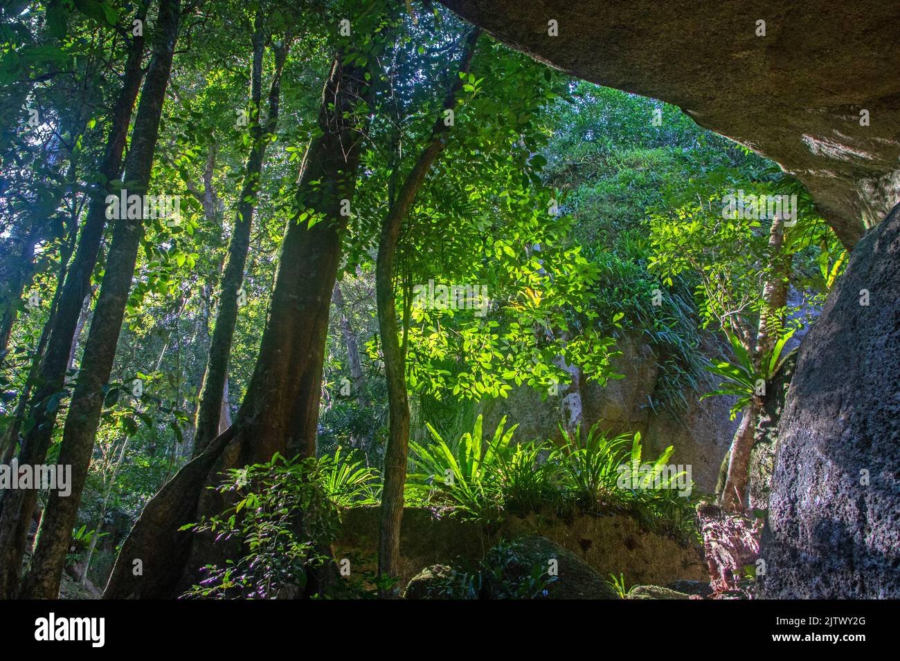 Paluma range national park -Fotos und -Bildmaterial in hoher Auflösung ...