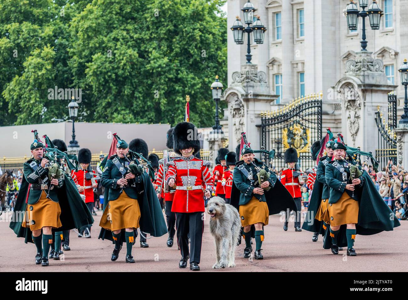 London, Großbritannien. 2. September 2022. Regimentsmascot, Irish ...
