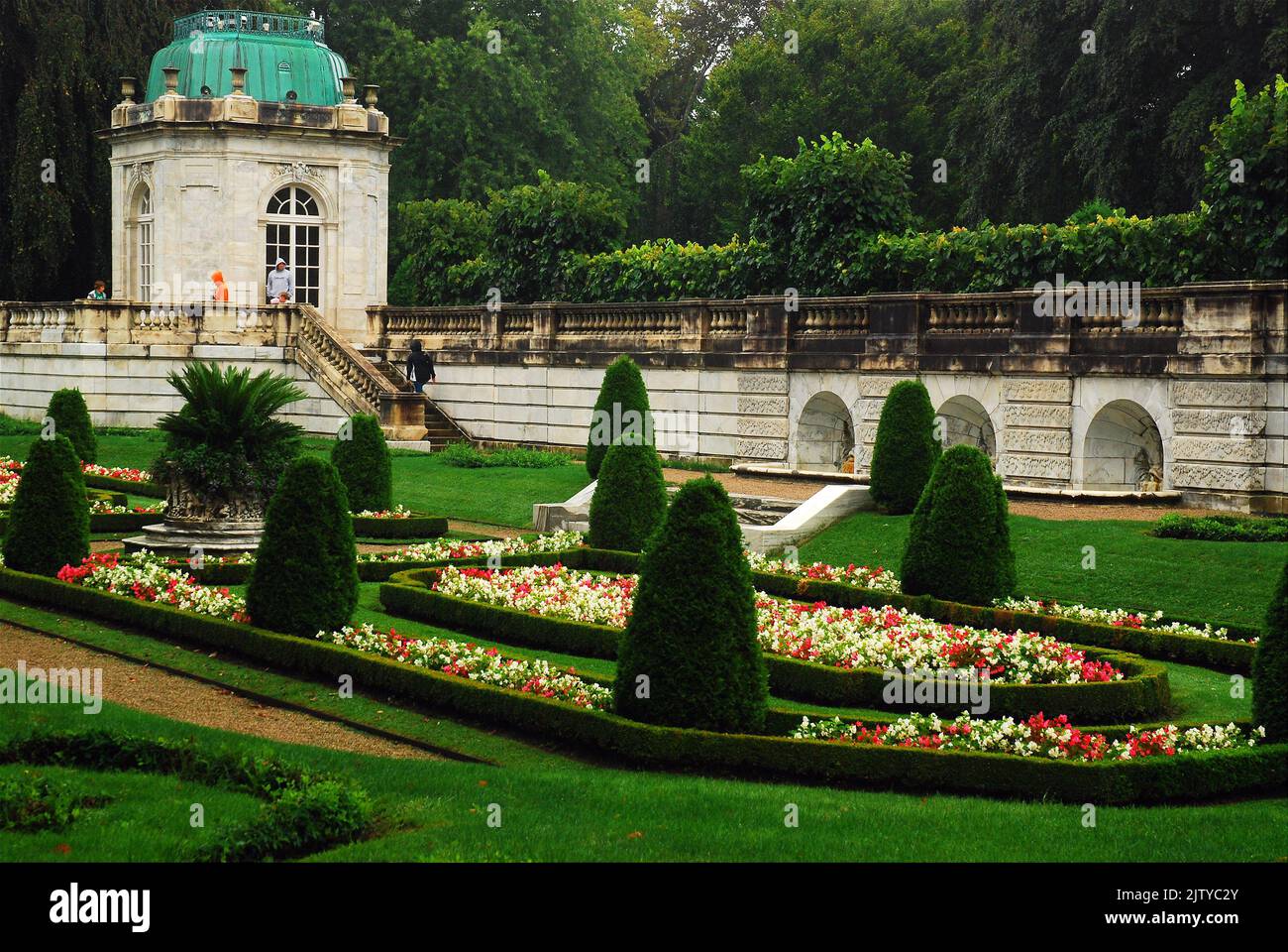 English elms -Fotos und -Bildmaterial in hoher Auflösung – Alamy