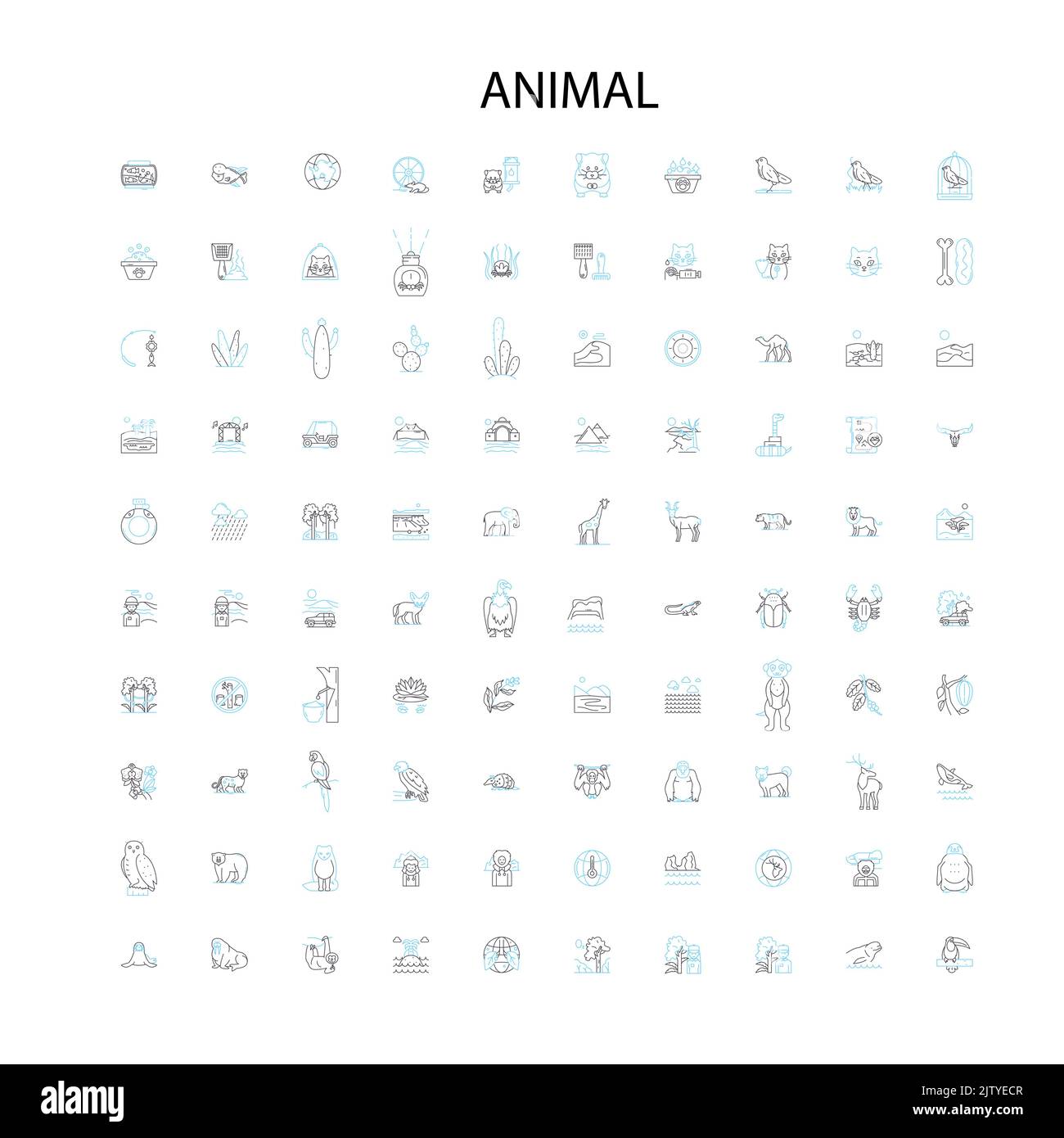 Tier Symbole, Zeichen, Umrisssymbole, Konzept lineare Illustration ...