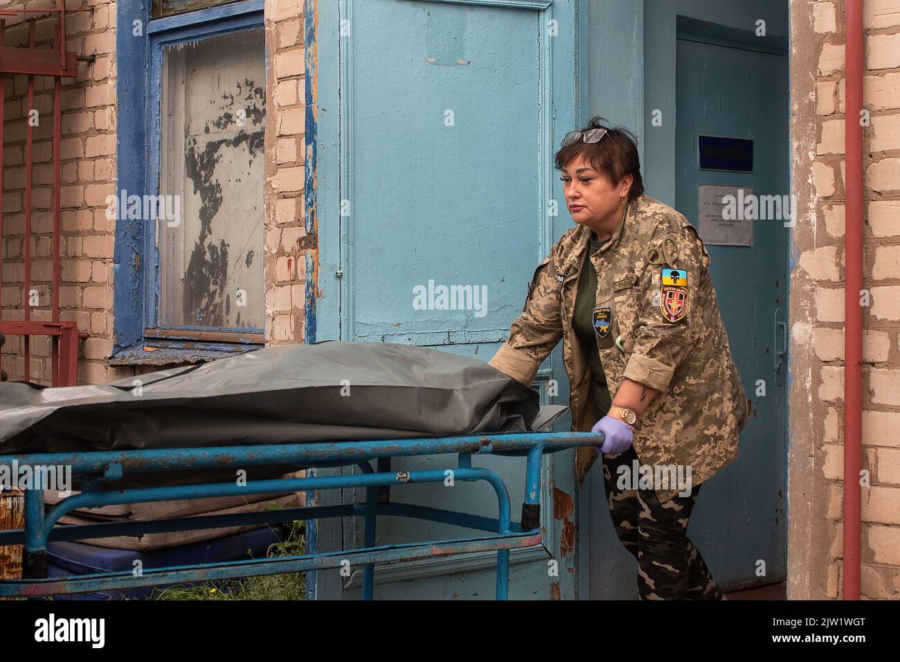 Dnipro, Ukraine. 01. September 2022. Ramashka ist eine ...