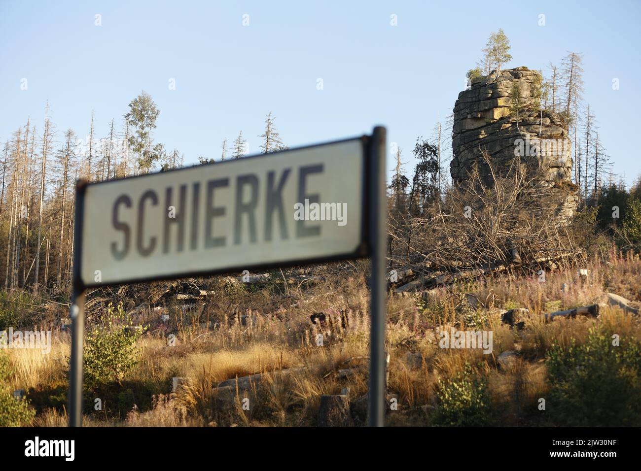 Schierke, Deutschland. 03. September 2022. Im Licht der Morgensonne ...