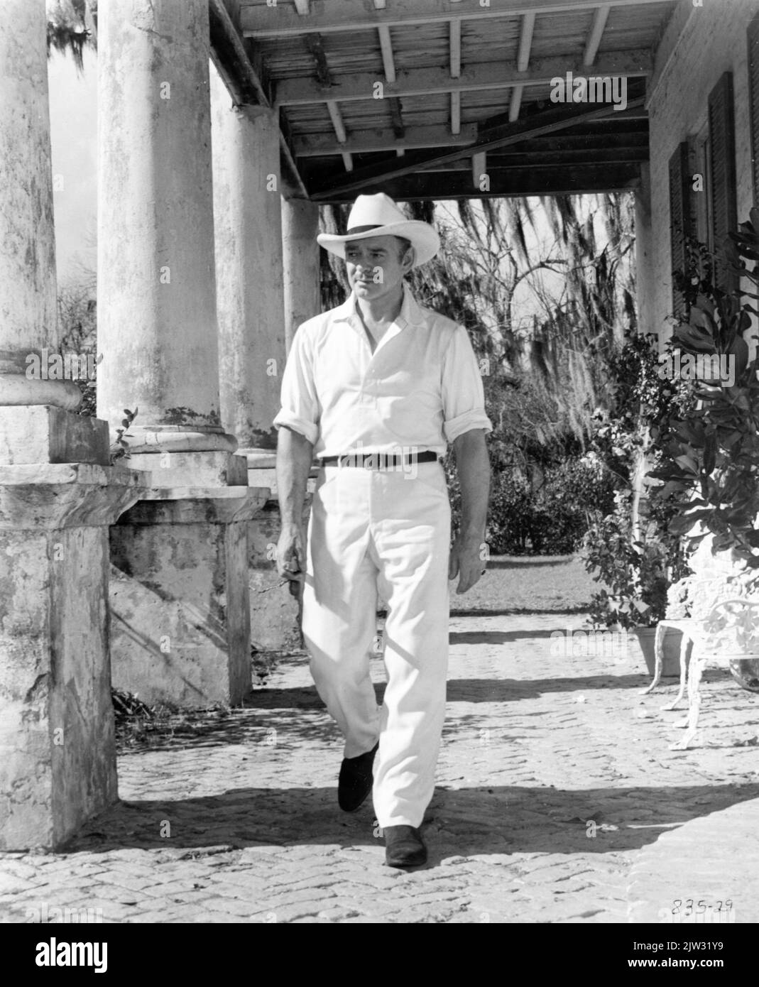 Hamish bond -Fotos und -Bildmaterial in hoher Auflösung – Alamy