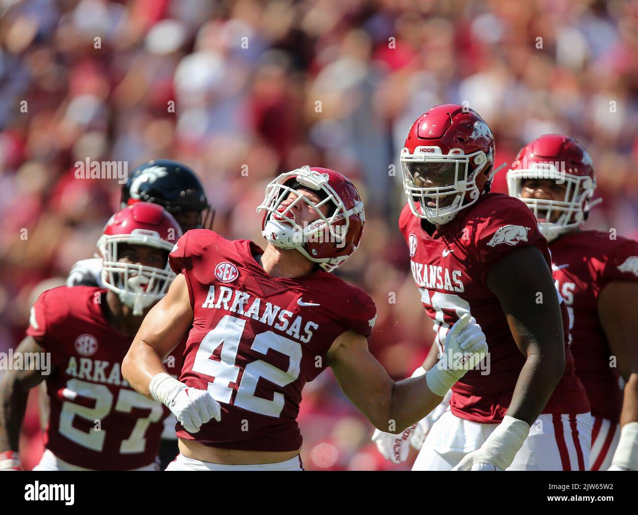 Qb sack -Fotos und -Bildmaterial in hoher Auflösung – Alamy