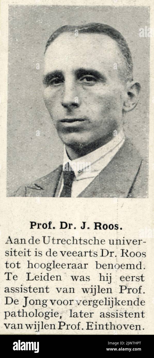 Professor roos -Fotos und -Bildmaterial in hoher Auflösung – Alamy