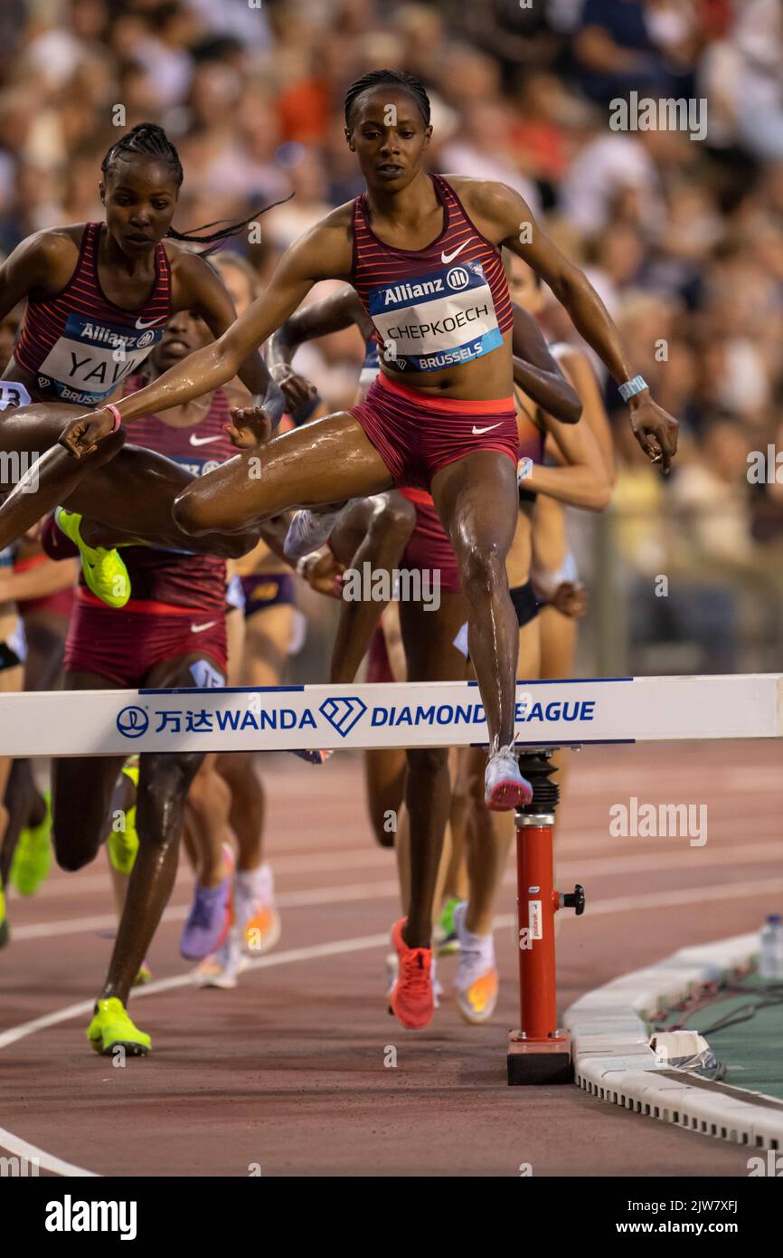Jackline Chepkoech aus Kenia tritt beim Allianz Memorial Van Damme 2022 ...