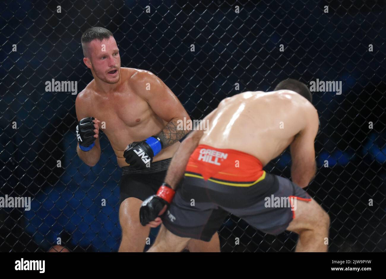 Nejc Preloznik kämpft während der Fight Nation Championship Night - MMA ...