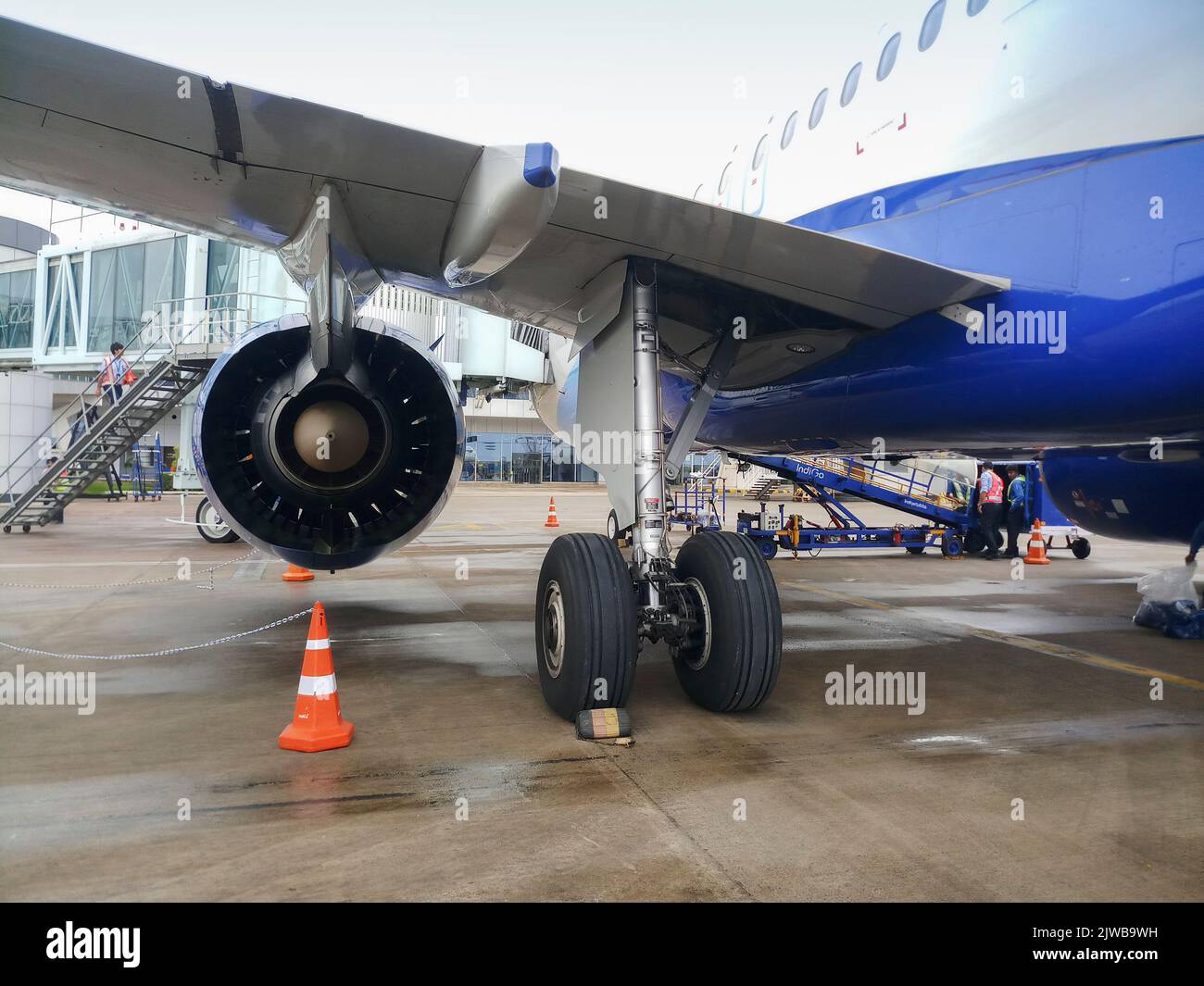 Netaji subhas chandra bose international -Fotos und -Bildmaterial in ...
