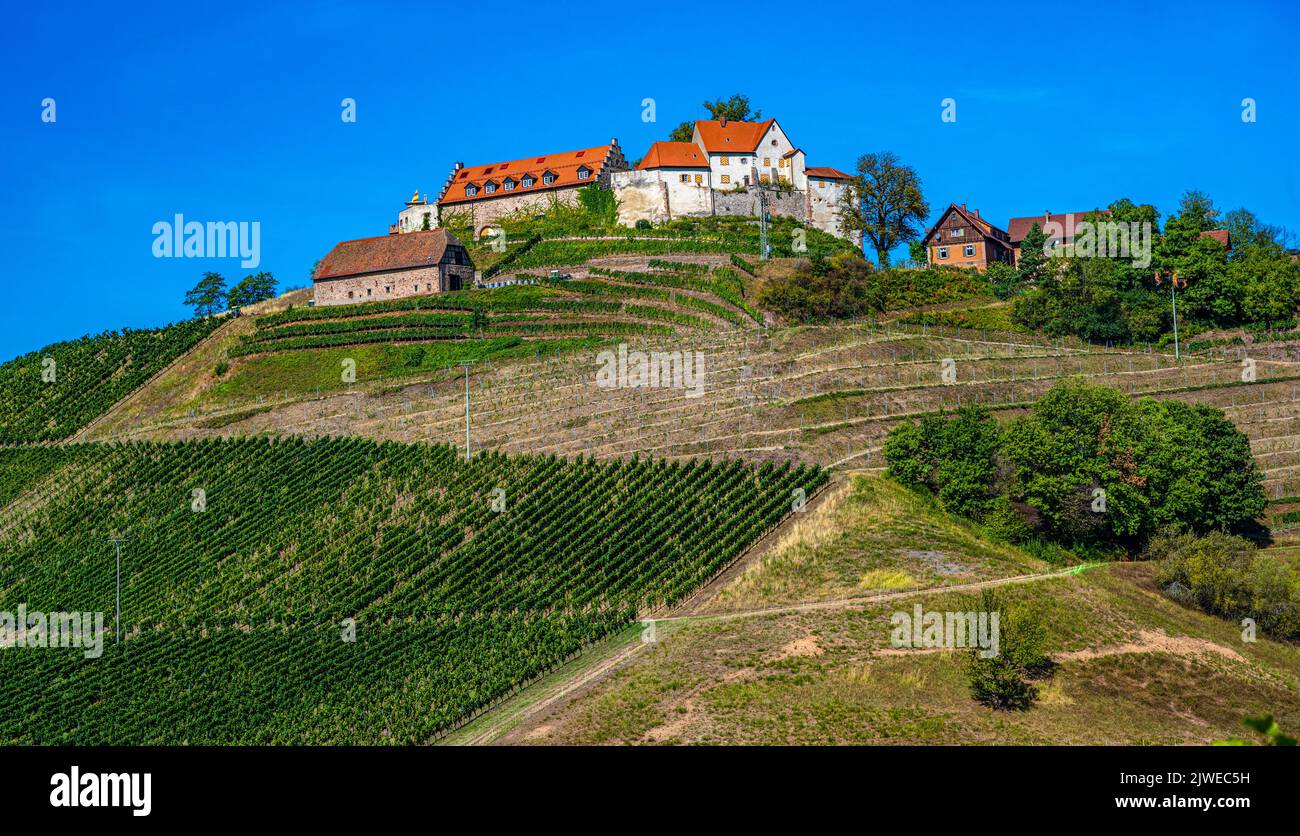 Blick auf Schloss Staufenberg in der Mitte von Weinbergen in der Nähe ...