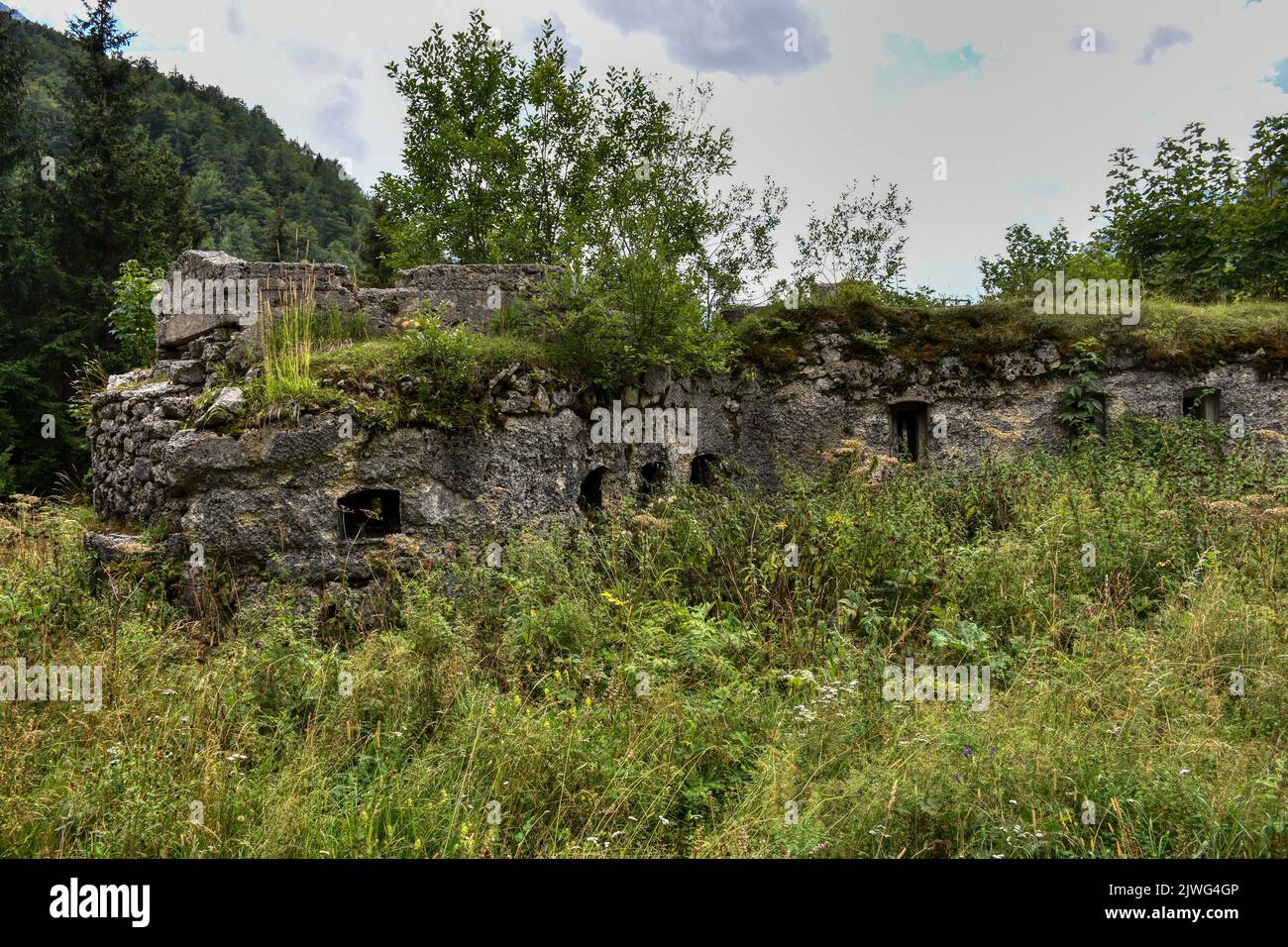 Batterie, Predil, Predilsattel, Fort, Werk, Festung, Weltkrieg, Teilung ...