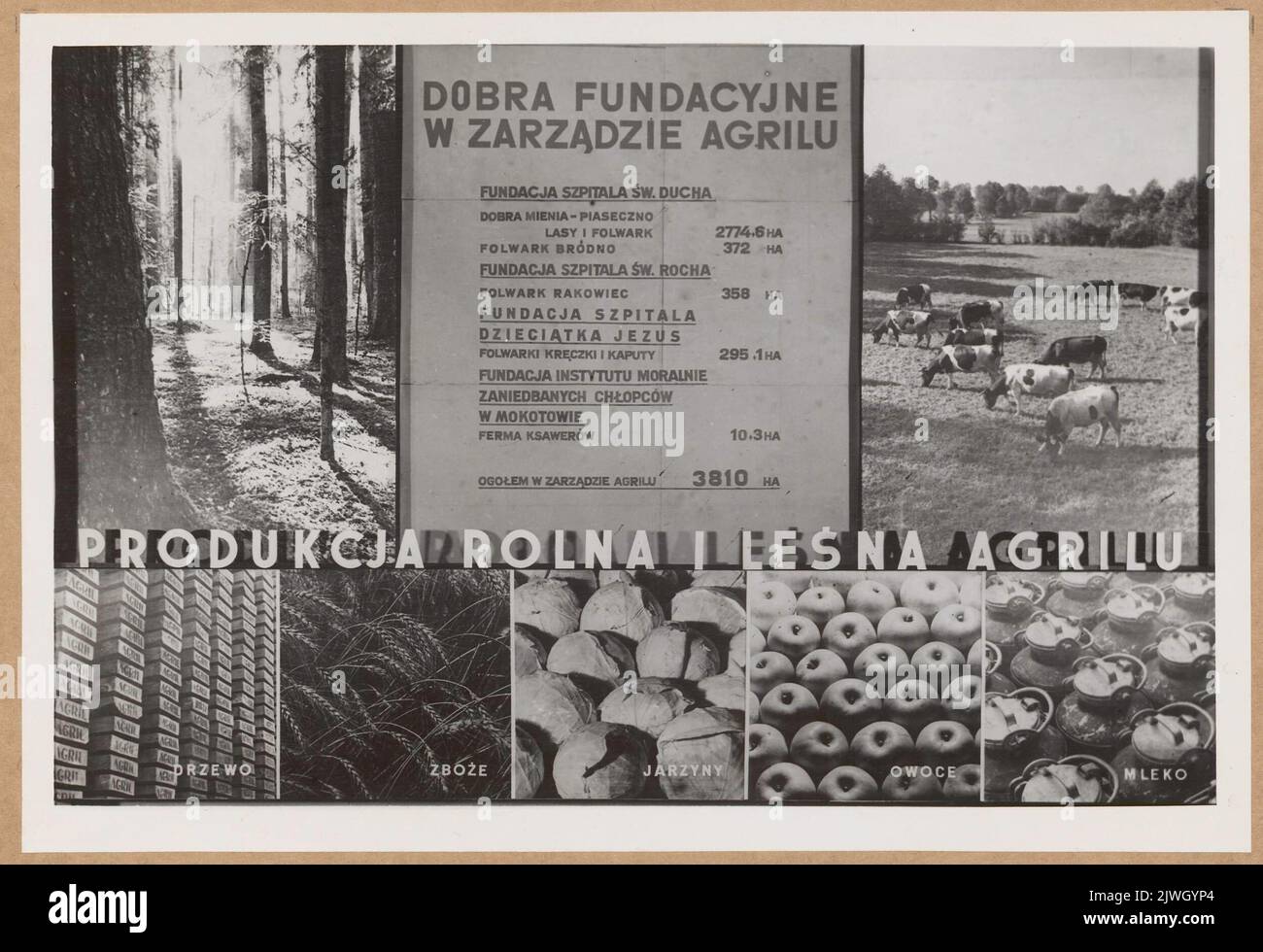 Nationalmuseum von Warschau. Die Ausstellung "Warschau gestern, heute ...