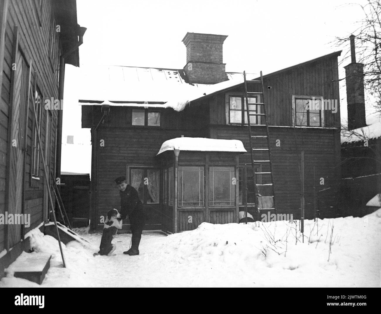 Övre Bergsgatan 22 von der Hofseite, Hjalmar Olsson und der Hund Diana ...