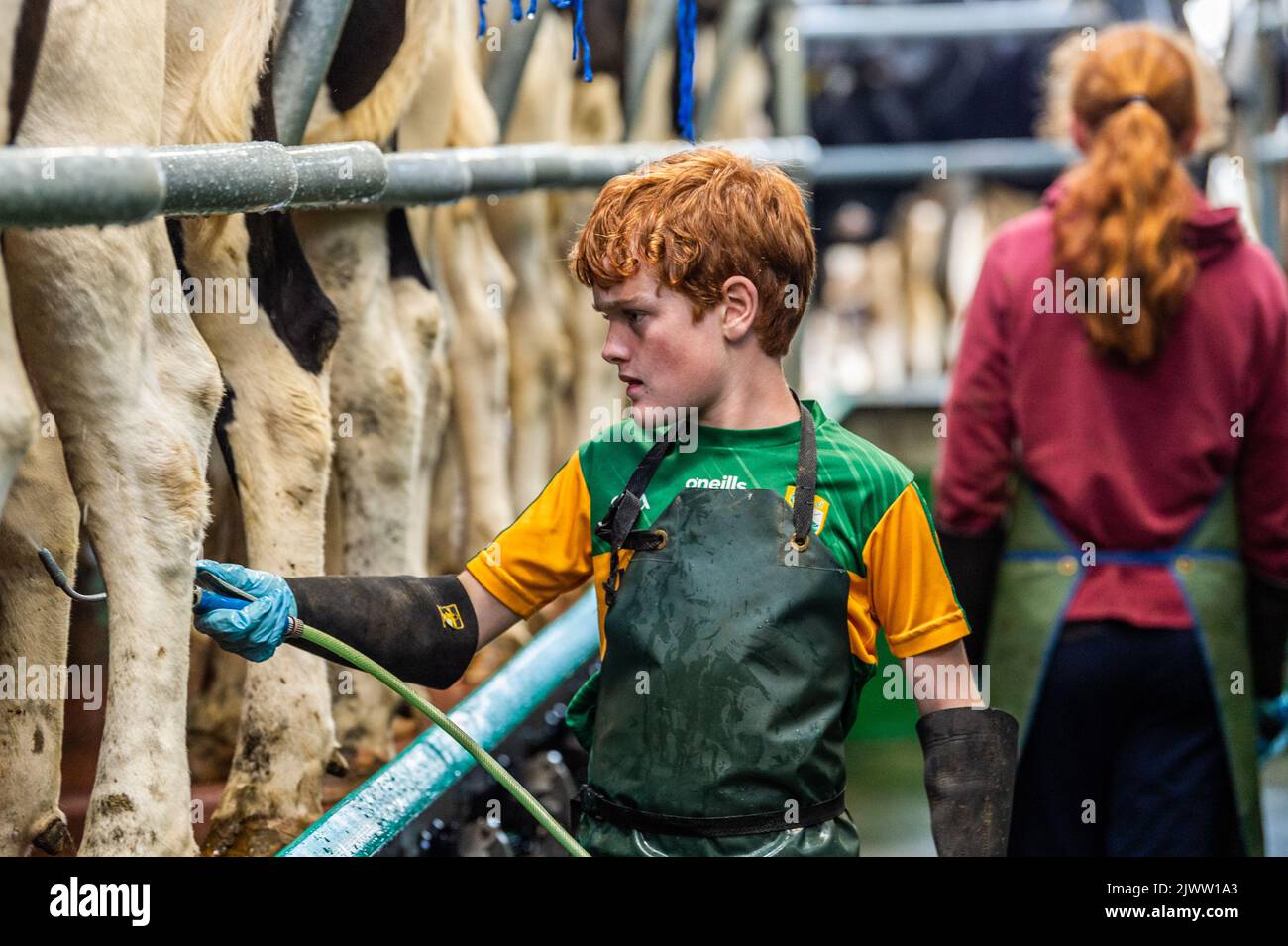 Landwirtschaft: Timoleague, West Cork, Irland. September 6., 2022. Die ...