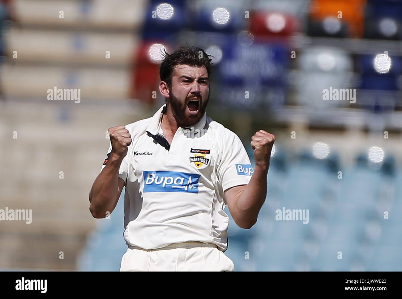 Warrios Ryan Duffield feiert am 1. Tag des Sheffield Shield Finales ...