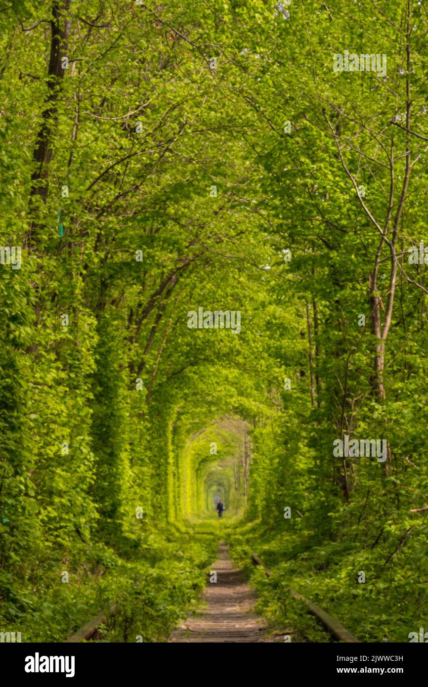 Balcombe tunnel -Fotos und -Bildmaterial in hoher Auflösung – Alamy