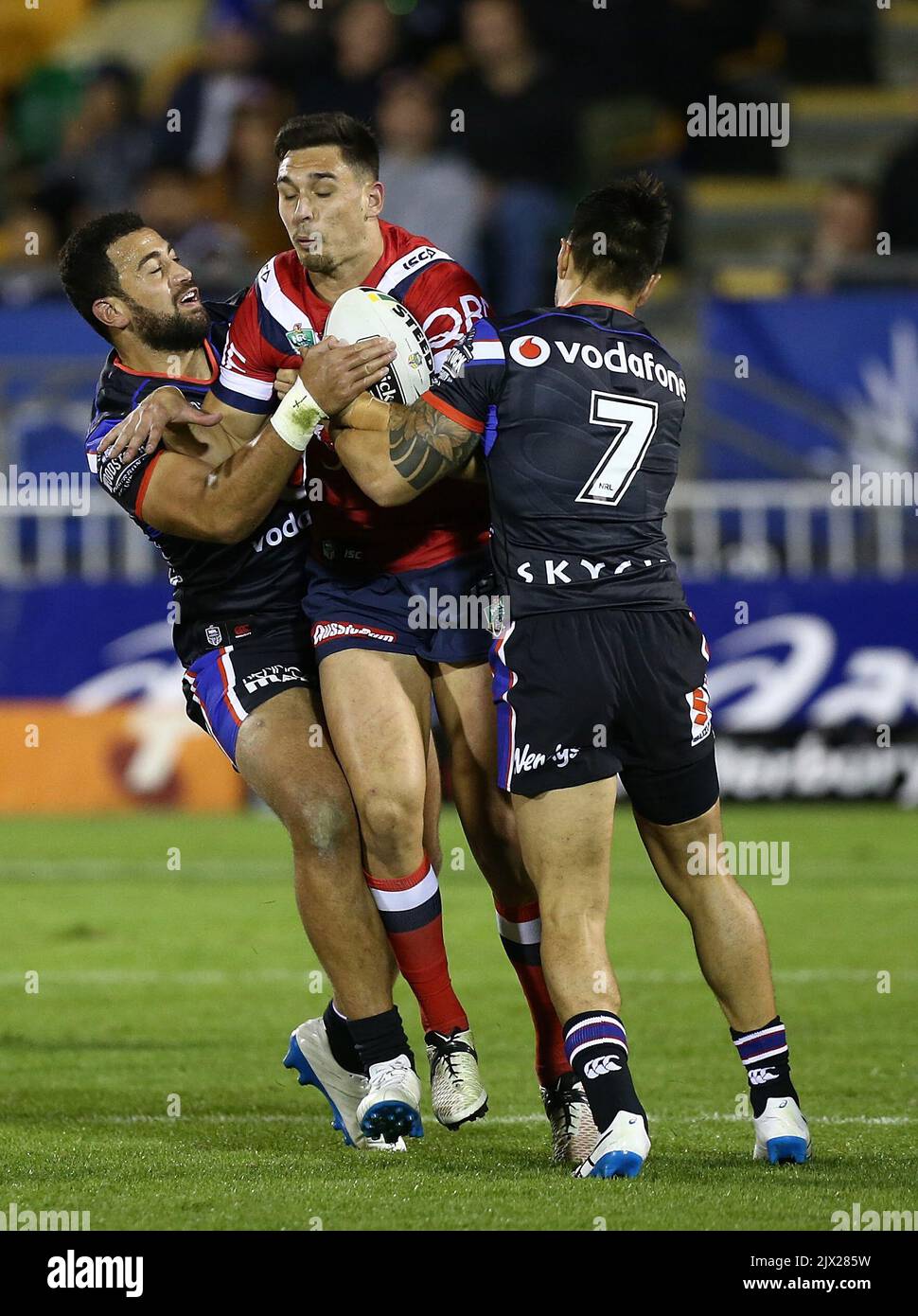 Ryan Matterson von den Roosters wird am Sonntag, den 19. Juni 2016, im ...