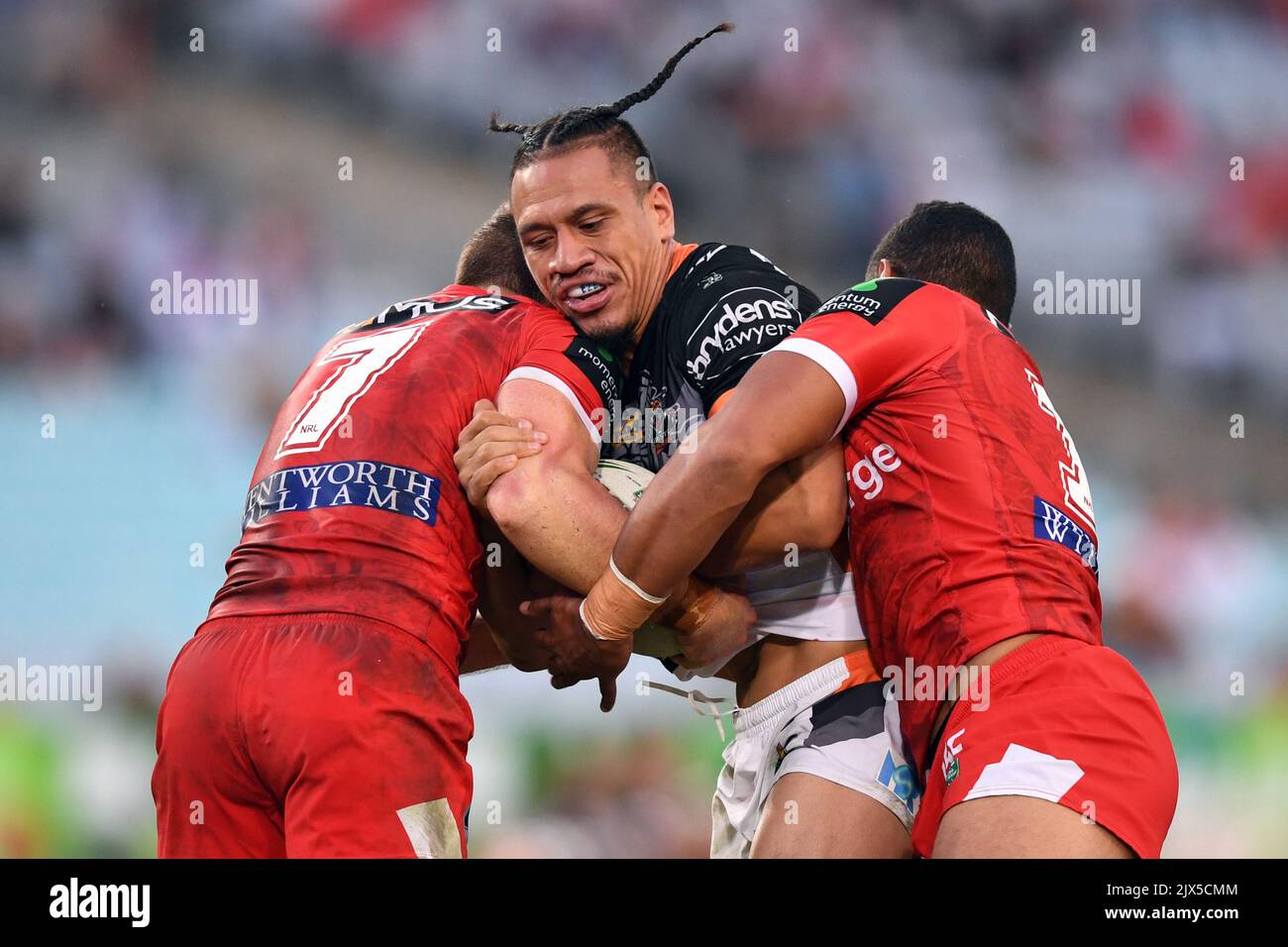 Sauaso Sue (Mitte) der Tigers wird am Sonntag, den 2. April 2017, im ...