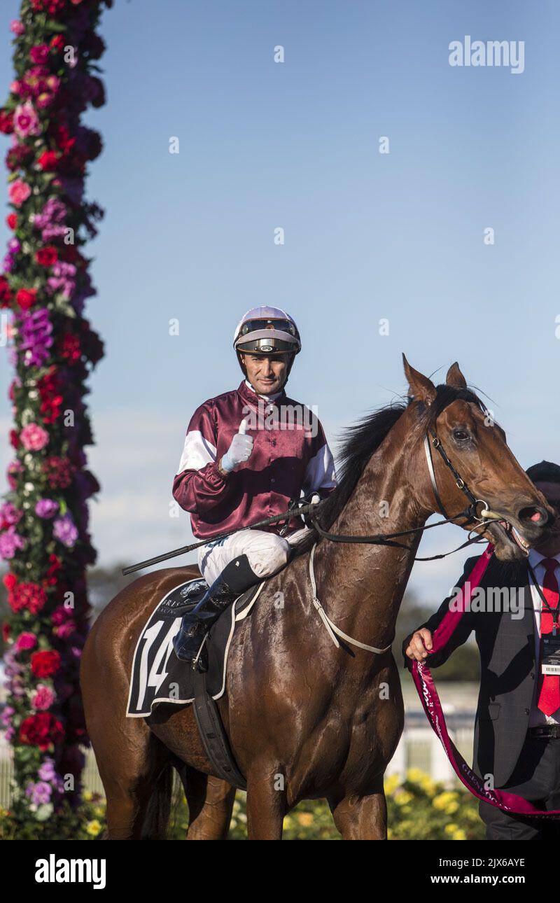 Der Jockey Corey Brown, der Eckstein reitet, gewinnt die Glenlogan Park ...