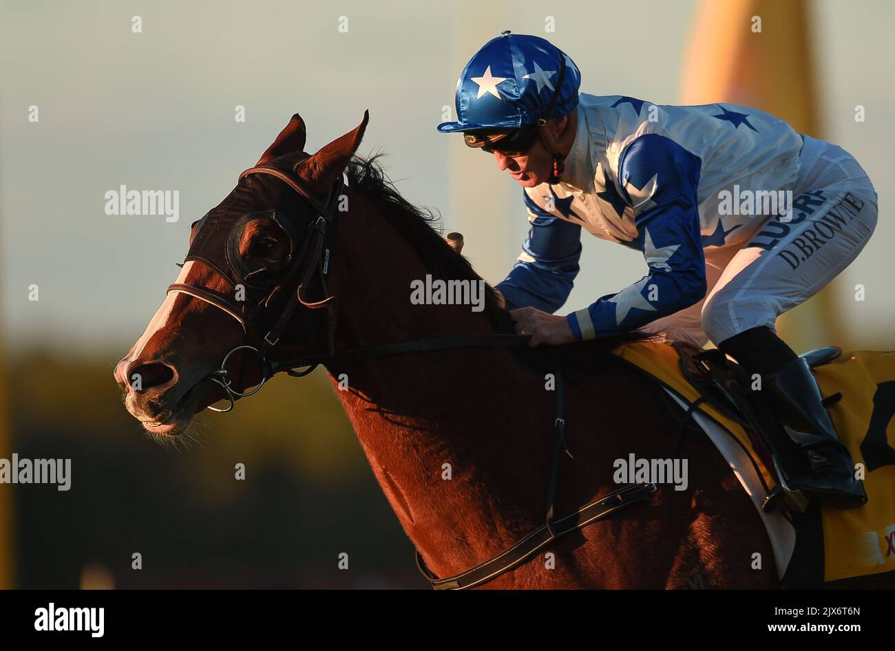 Der Jockey Damian Browne fährt beim Caloundra Cup Day im Sunshine Coast ...