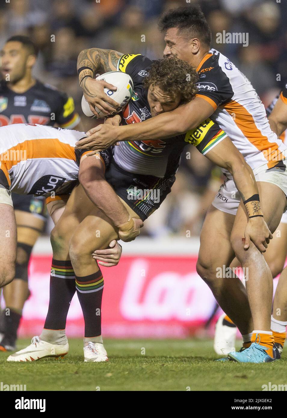 James Fisher-Harris von den Panthers wird am Donnerstag, den 17. Mai ...