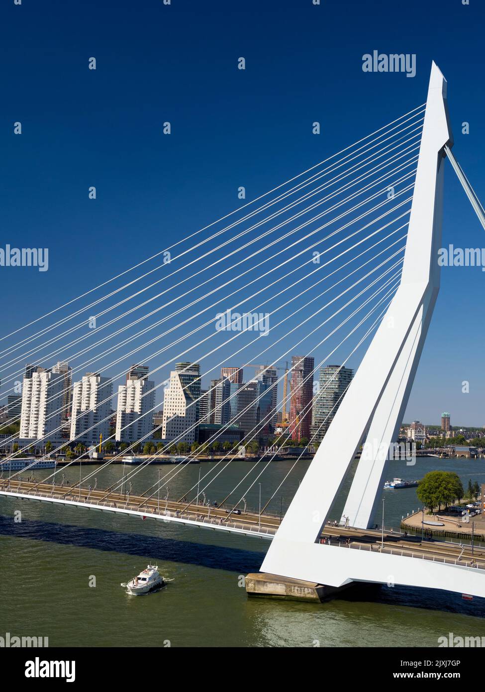 Benannt nach dem großen holländischen Philosophen und Humanisten aus ...