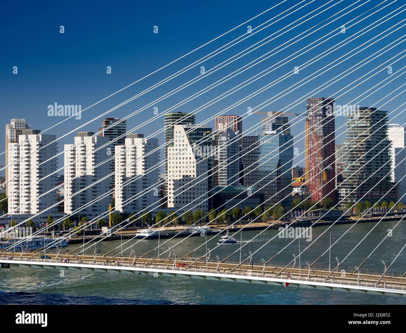 Benannt nach dem großen holländischen Philosophen und Humanisten aus ...