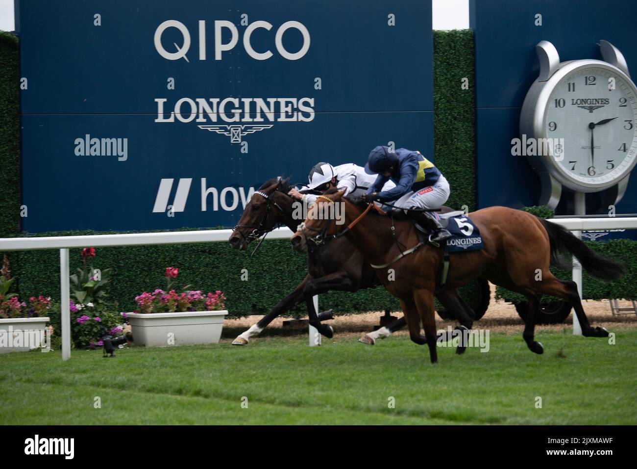 Emily rothschild -Fotos und -Bildmaterial in hoher Auflösung – Alamy