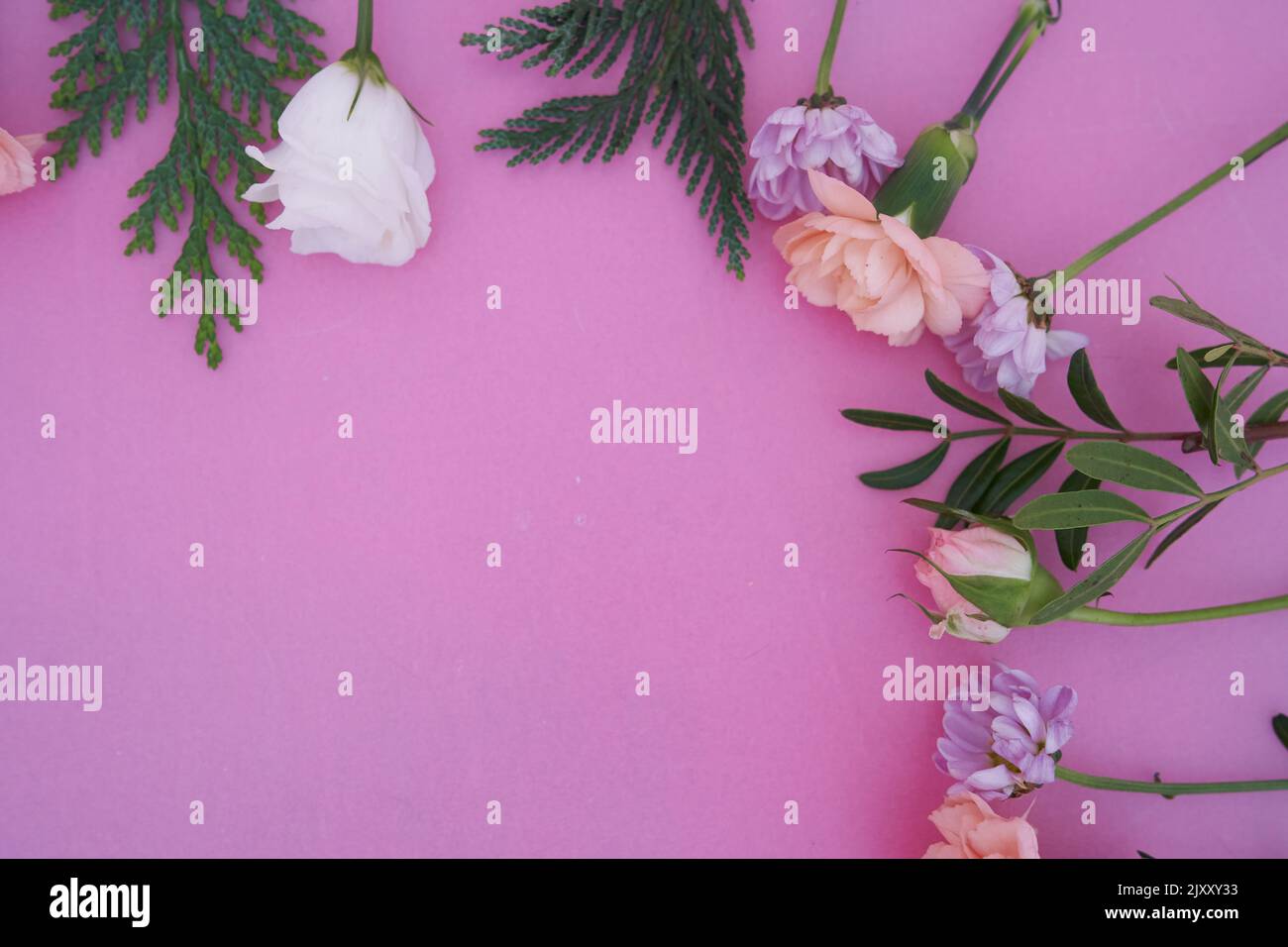 Blick von oben. Teil einer Nahaufnahme von frischen Blumen Rose ...