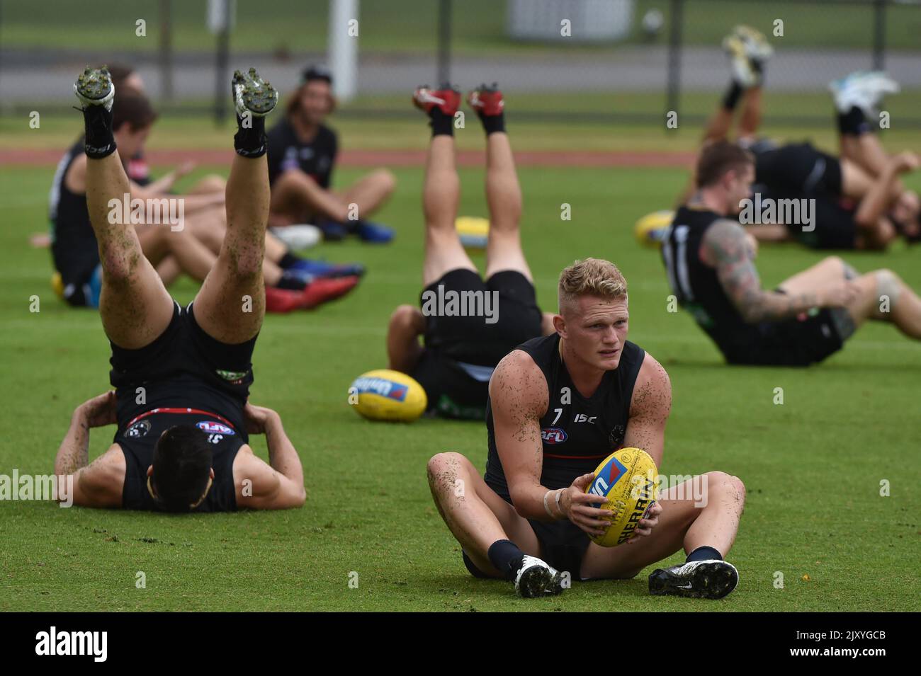 Adam Treloar (rechts) von den Collingwood Magpies ist während der ...
