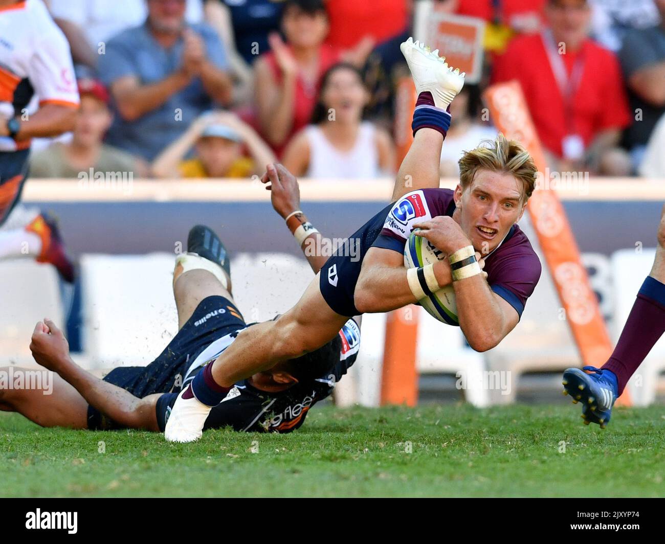 Tate McDermott von den Reds taucht auf, um beim Super Rugby-Spiel der ...
