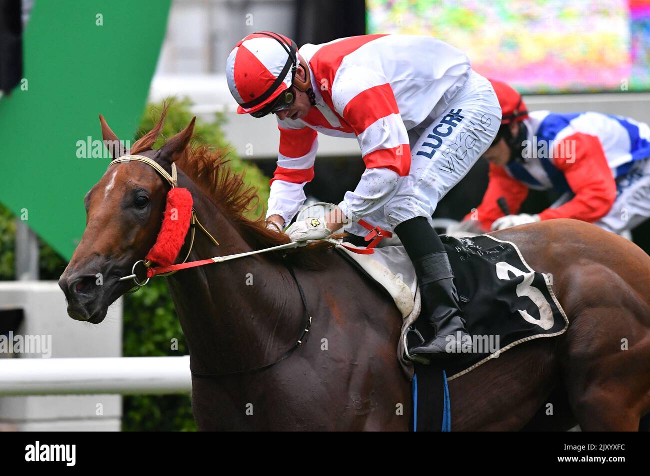 Der Jockey Ryan Wiggins (Mitte) fährt während des CEQ Charity Raceday ...