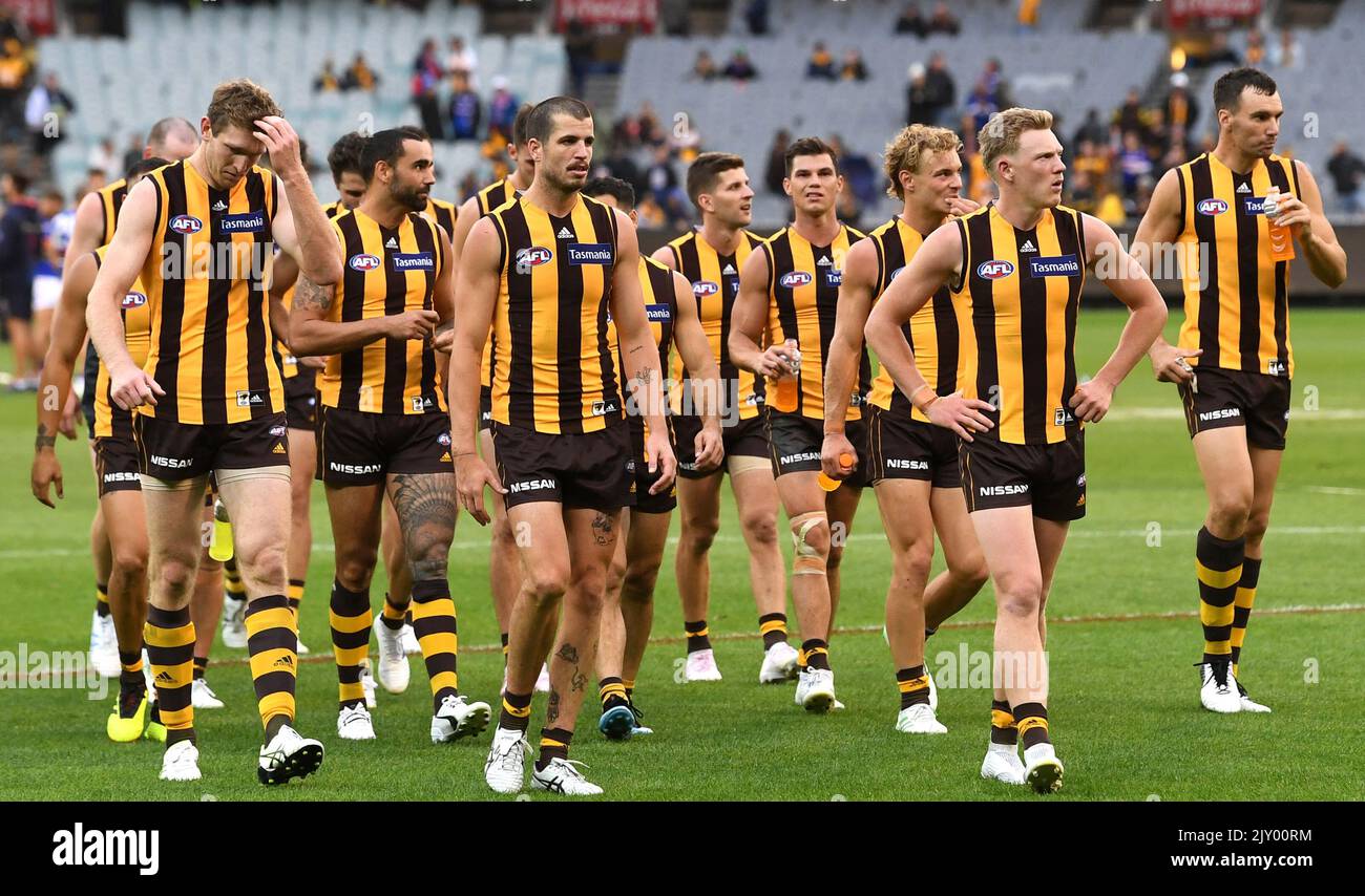Die Hawks reagieren nach dem AFL-Spiel der Runde 2 zwischen den ...