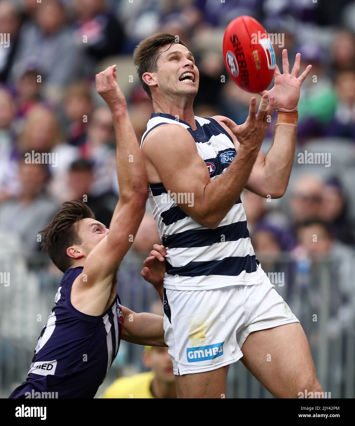 Tom Hawkins of the Cats nimmt während des AFL-Spiels der Runde 20 ...