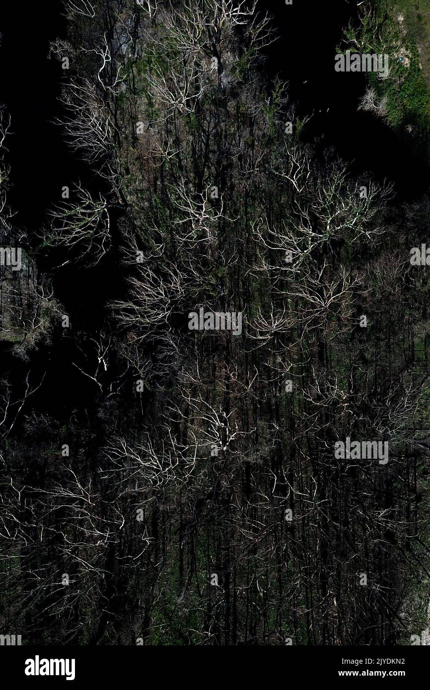 Verbranntes und sich erholendes Buschland rund um Bendalong in der Nähe ...