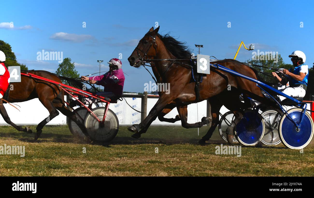 Jockey trab -Fotos und -Bildmaterial in hoher Auflösung – Alamy
