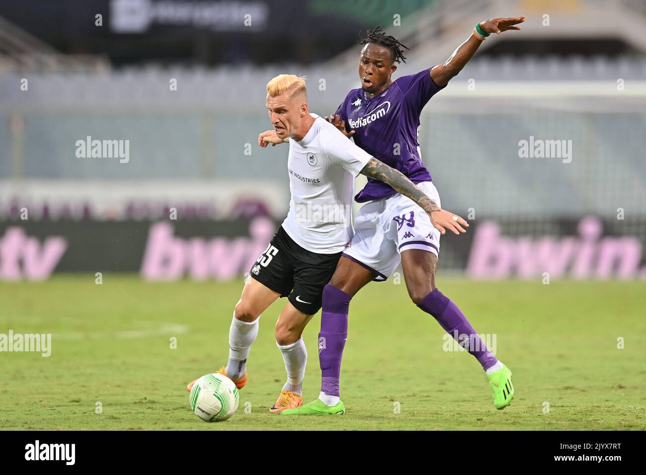 Stuten petr rfs -Fotos und -Bildmaterial in hoher Auflösung – Alamy