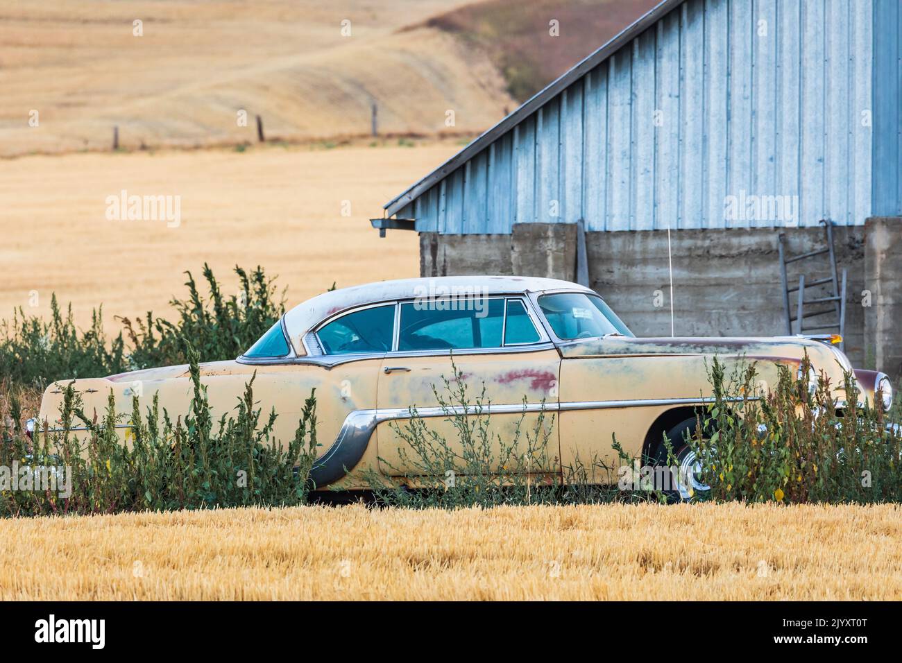 USA, Washington State, Whitman County. Palouse. 6. September 2021. 1954 ...