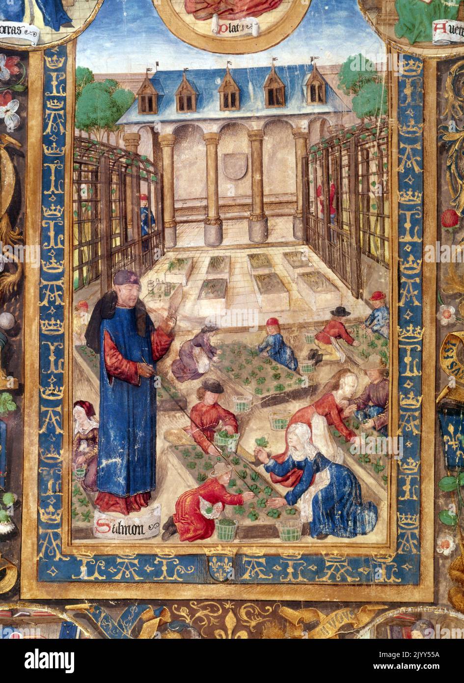 Illuminierte Handschrift mit einem Heilgarten aus Le Livre des simples ...