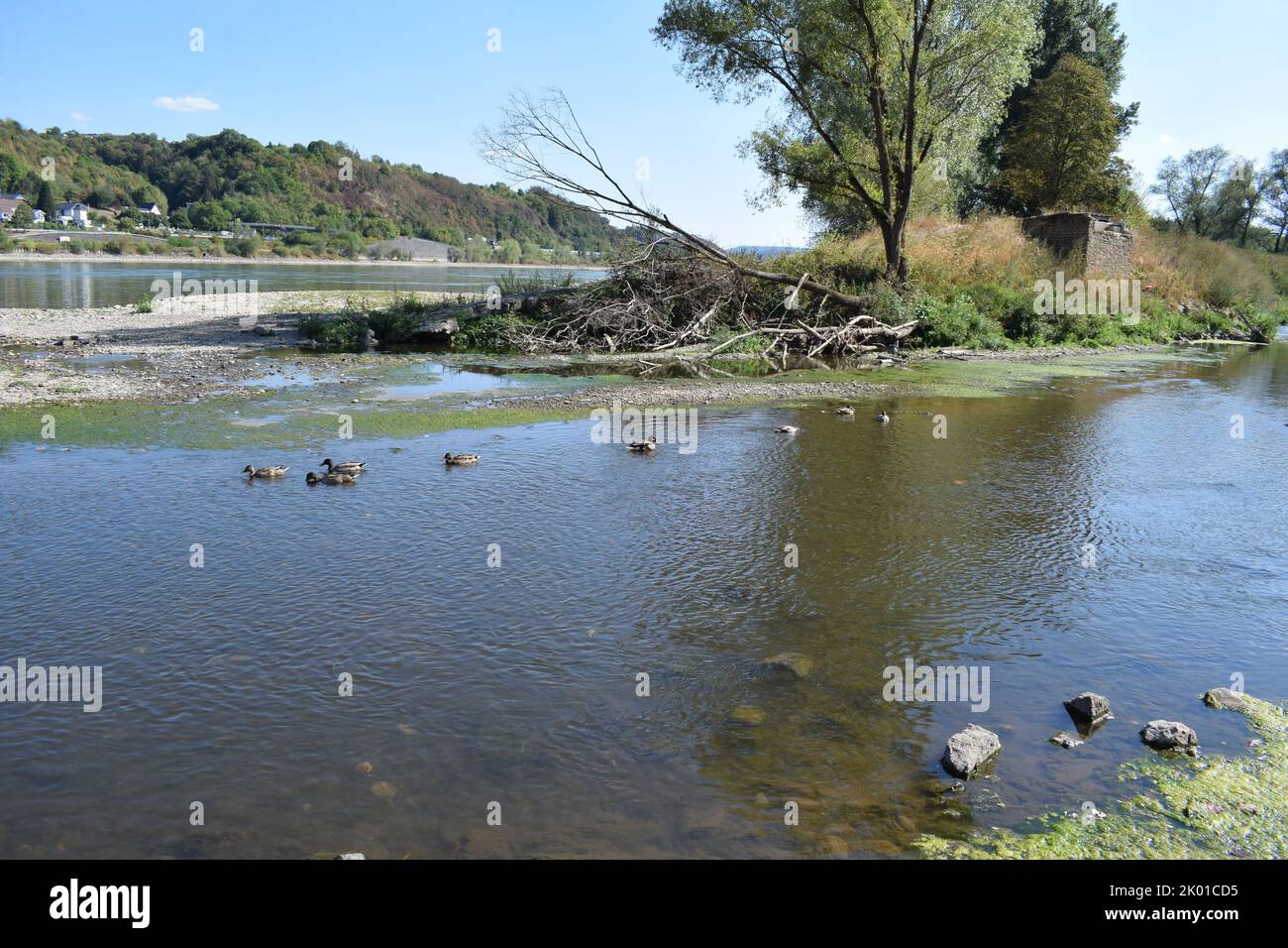 Flutkatastrophe ahr -Fotos und -Bildmaterial in hoher Auflösung – Alamy
