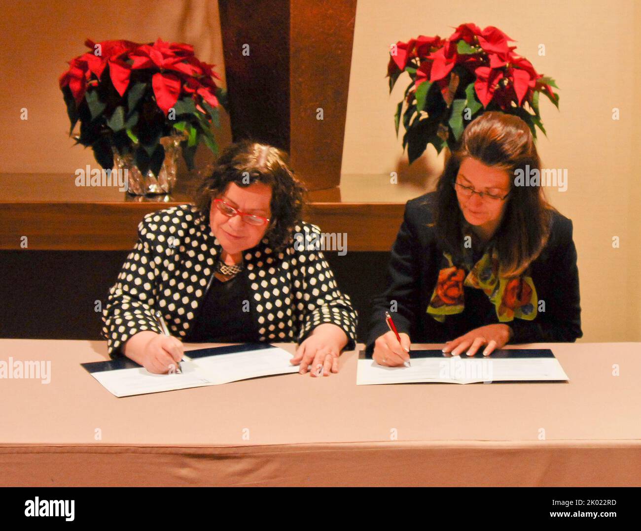 Barbara poppe -Fotos und -Bildmaterial in hoher Auflösung – Alamy