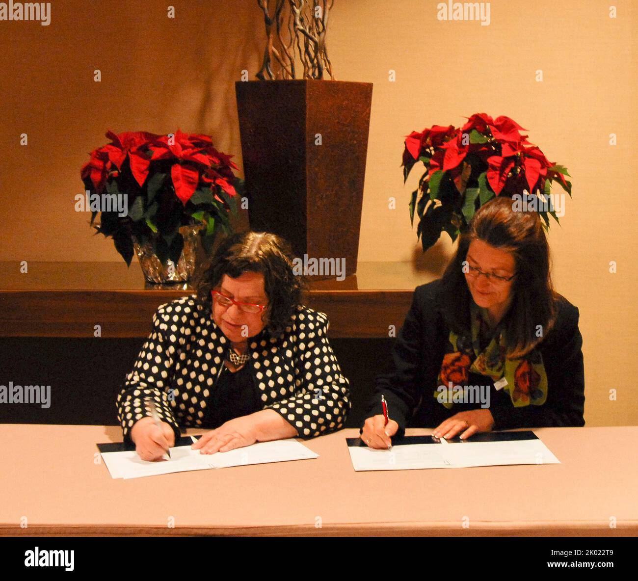 Barbara poppe -Fotos und -Bildmaterial in hoher Auflösung – Alamy