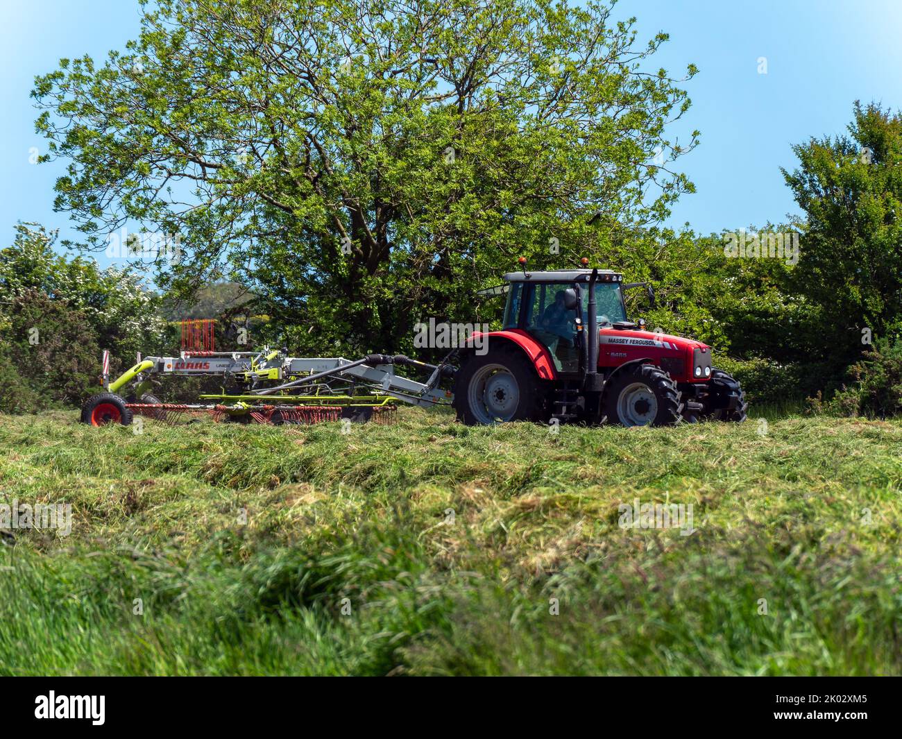 West Cork, Irland, 28. Mai 2022. Ein Traktor erntet Heu für die ...