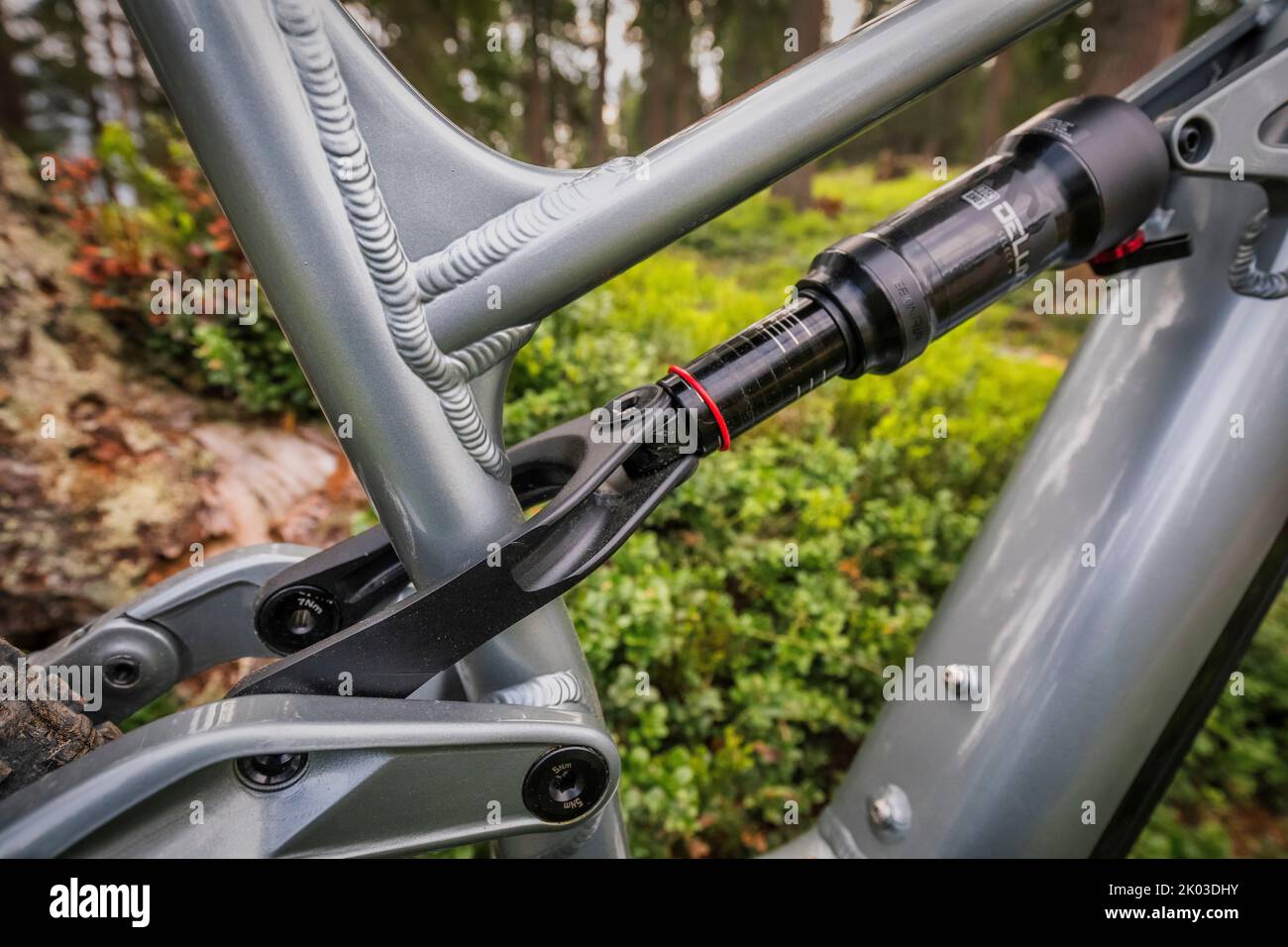Detail eines modernen e bike e mtb im wald -Fotos und -Bildmaterial in ...