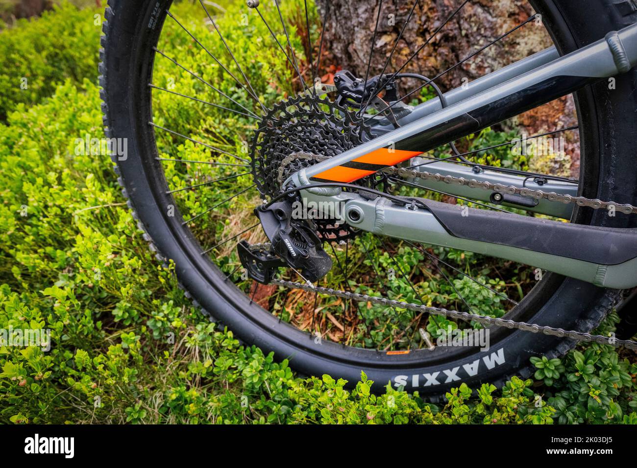 Detail eines modernen e bike e mtb im wald -Fotos und -Bildmaterial in ...