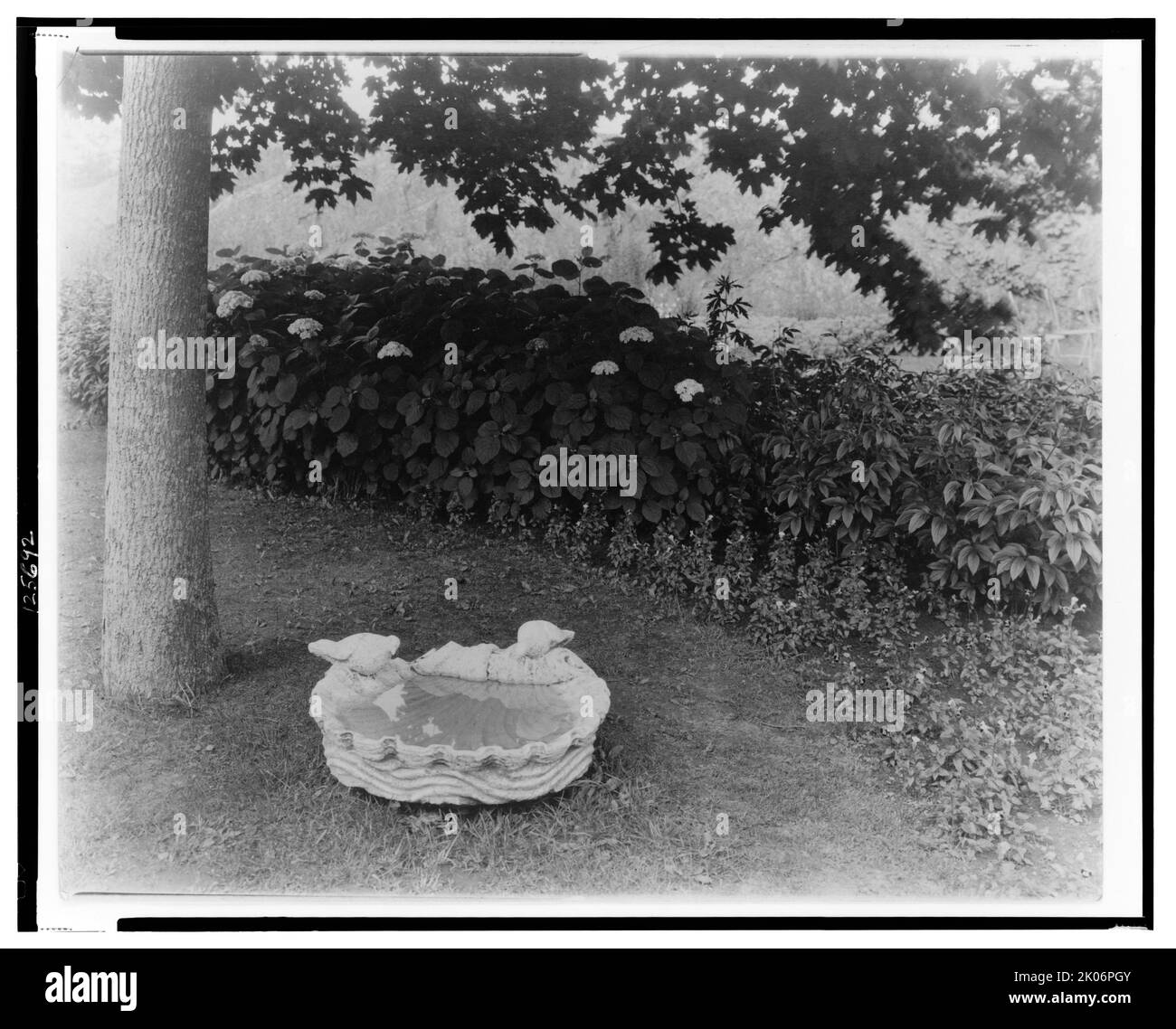 Isaac newton phelps -Fotos und -Bildmaterial in hoher Auflösung – Alamy