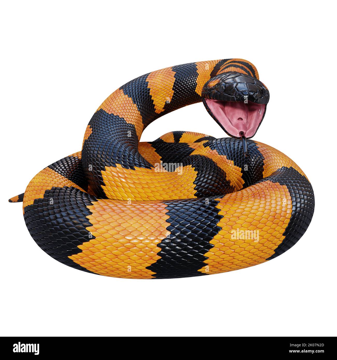 Bismarck beringte python -Fotos und -Bildmaterial in hoher Auflösung ...