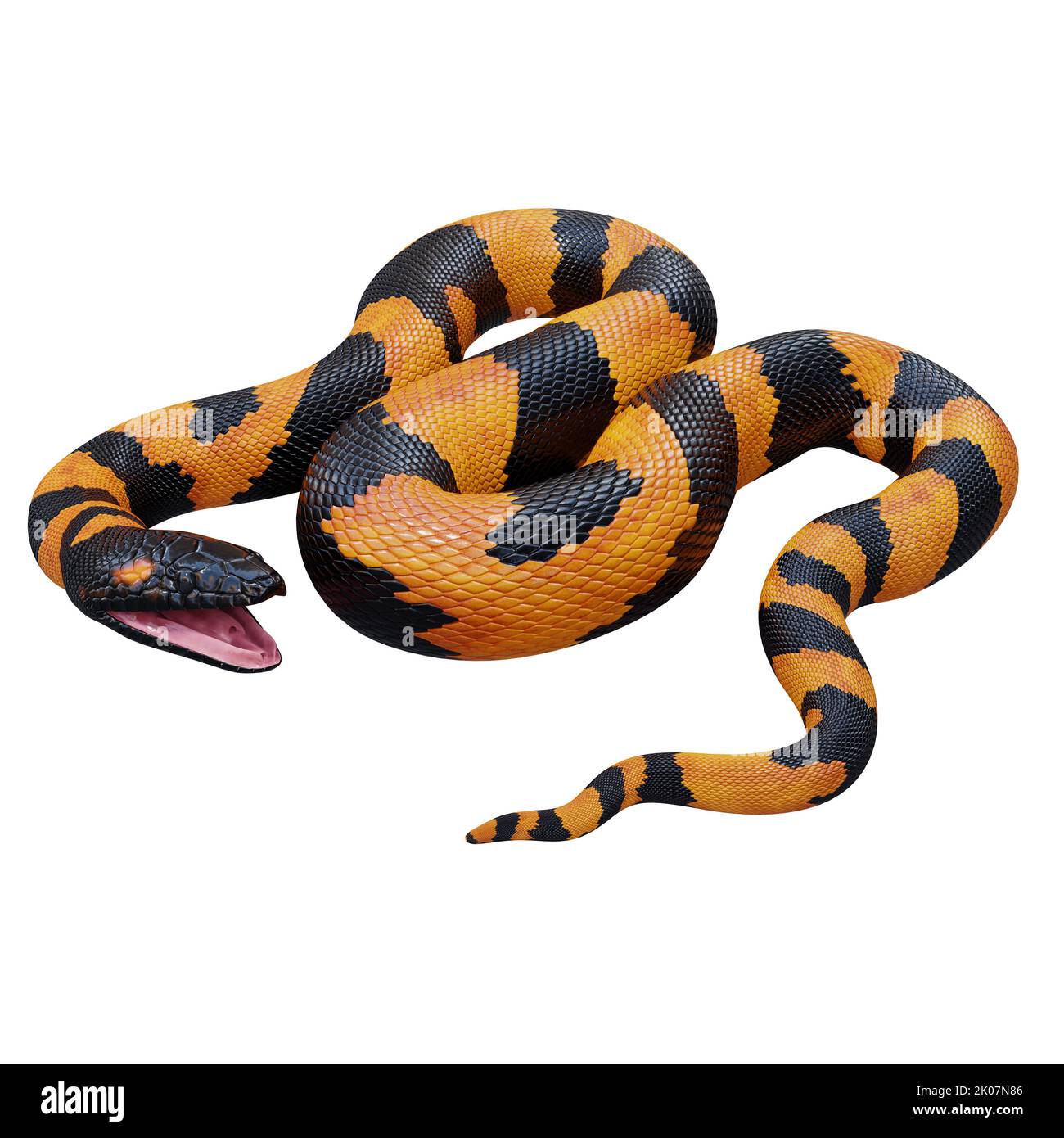 Bismarck beringte python -Fotos und -Bildmaterial in hoher Auflösung ...